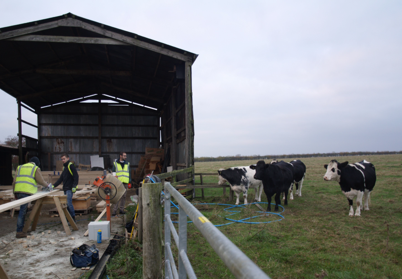 Material Cultures — Stilt House, 2019