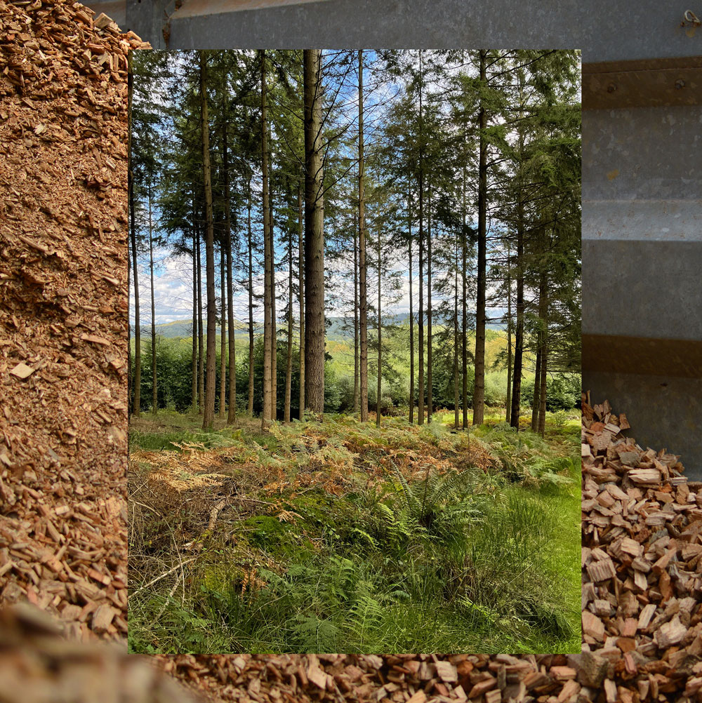 Material Cultures — Constructive Land, ongoing