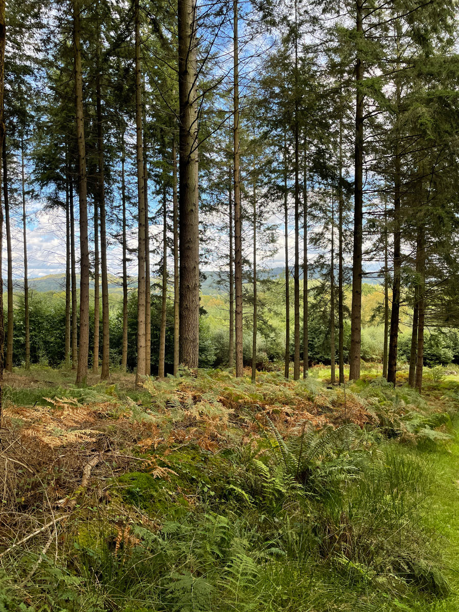 Material Cultures — Constructive Land, ongoing