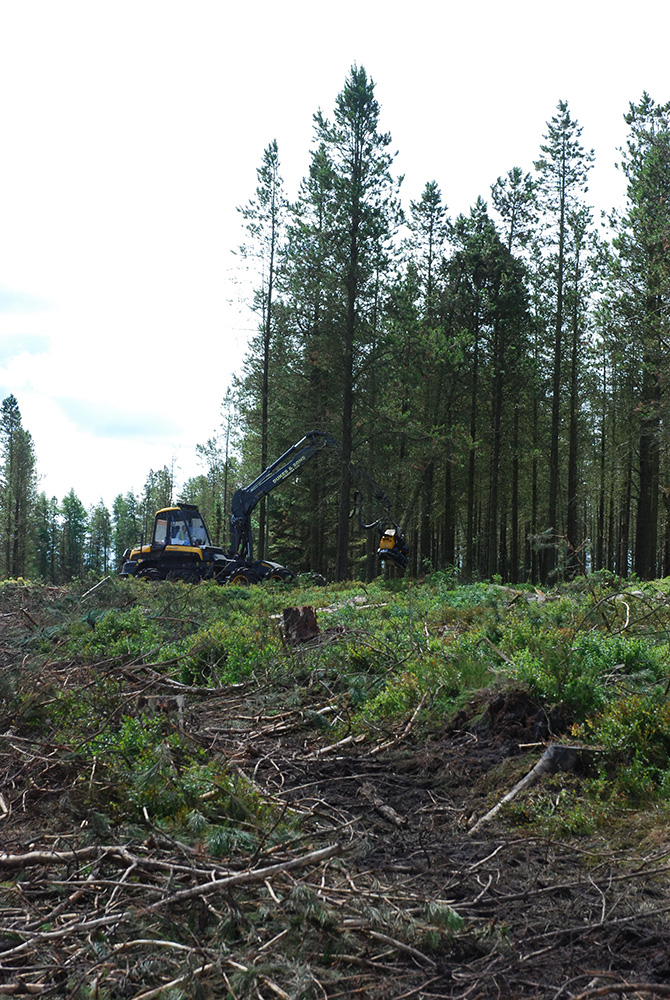 Material Cultures — Constructive Land, 2022