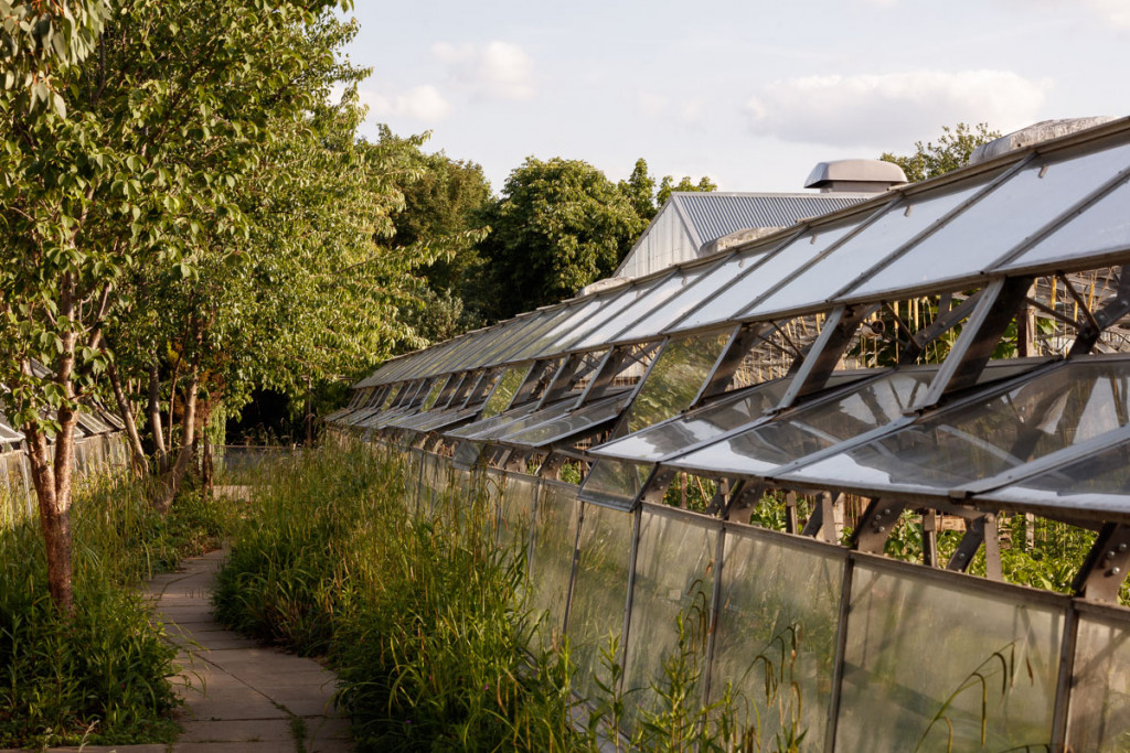 Material Cultures — Wolves Lane Centre, 2025