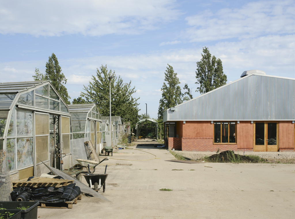 Material Cultures — Wolves Lane Centre, ongoing