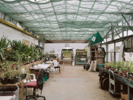 Material Cultures — Wolves Lane Centre, 2025