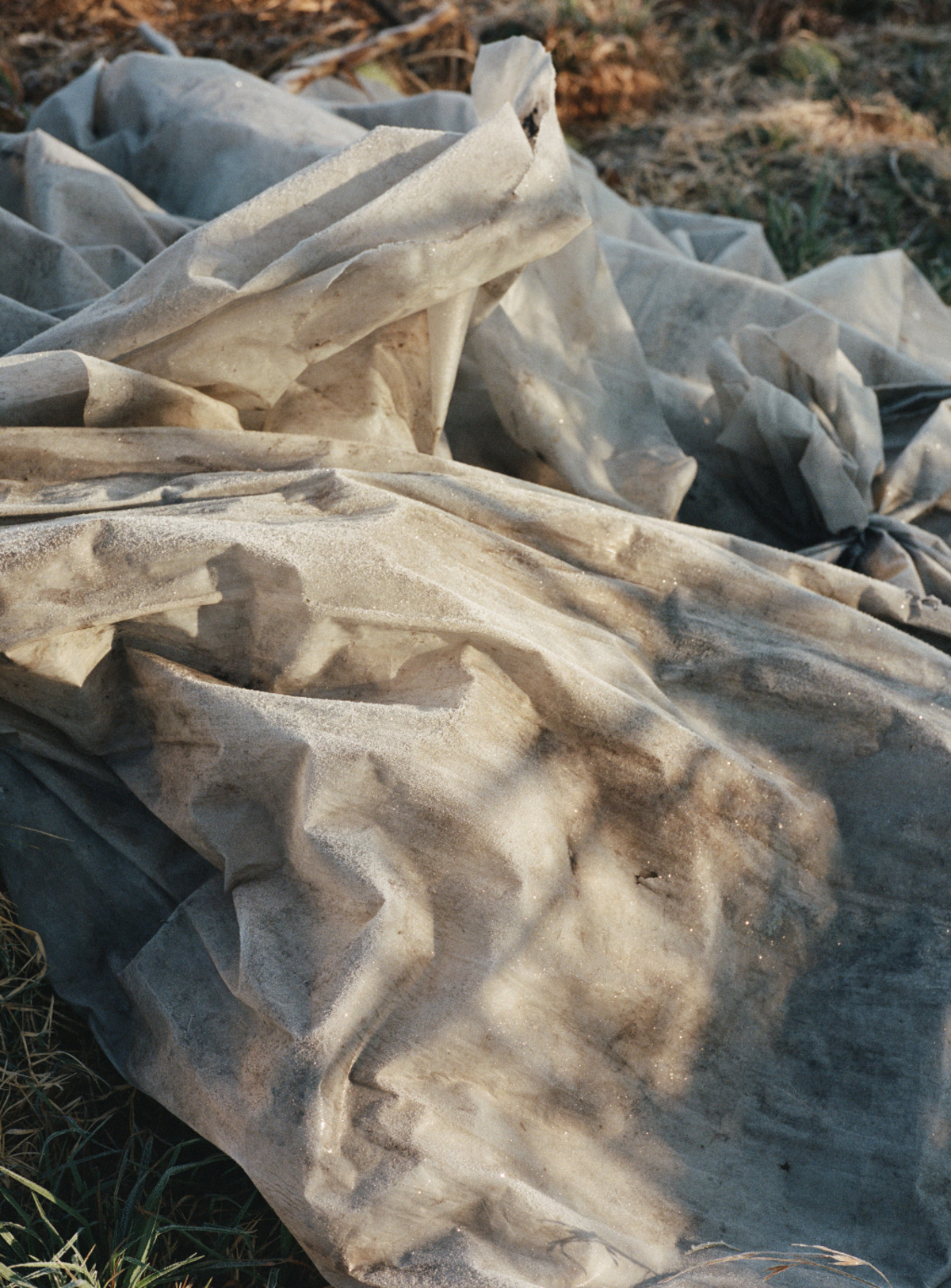 Material Cultures — Material Landscapes, 2024