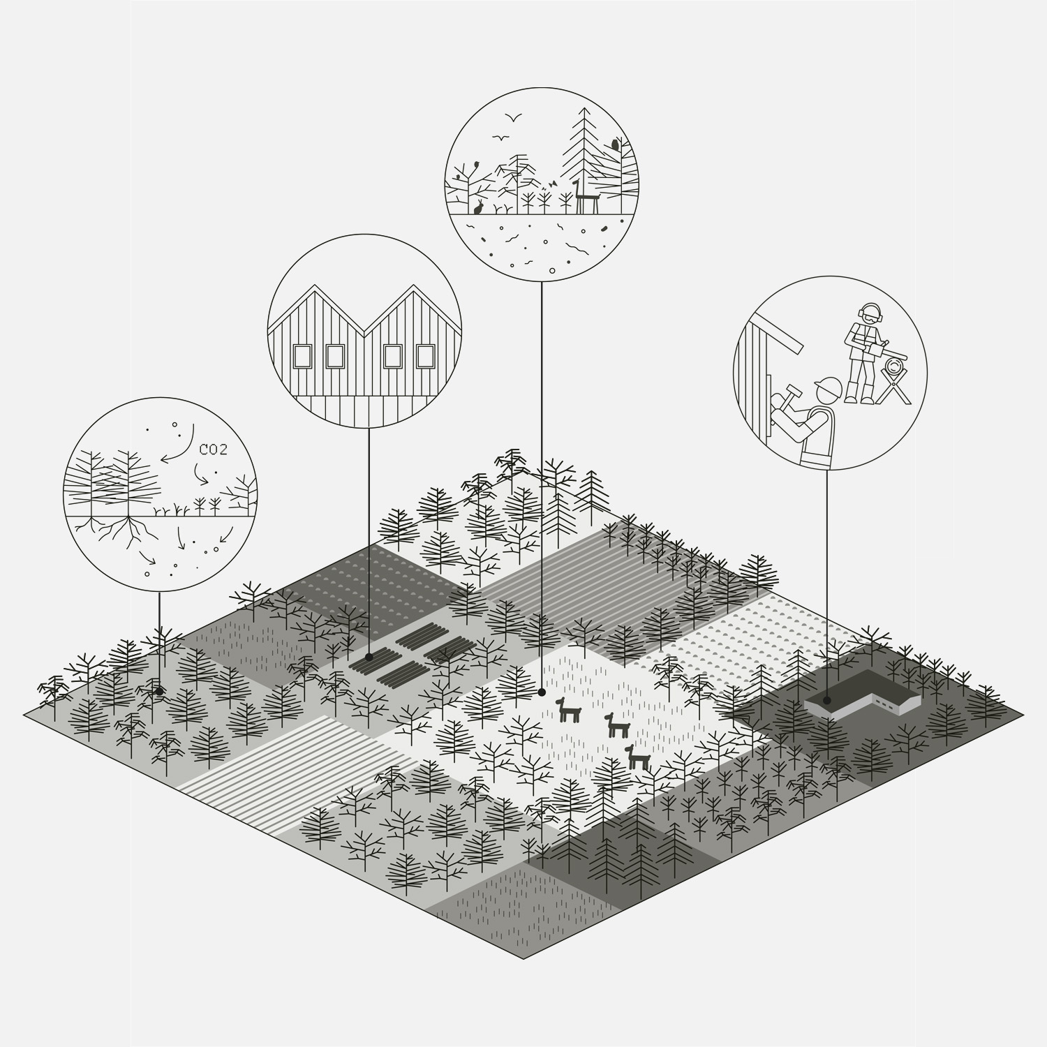 Material Cultures — Design Ecosystem Fellowship, 2023