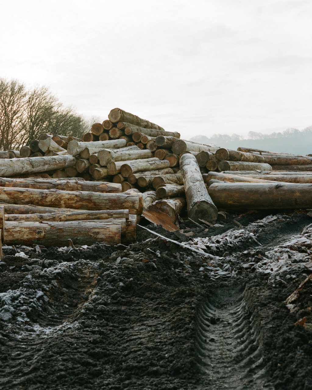 Material Cultures — Design