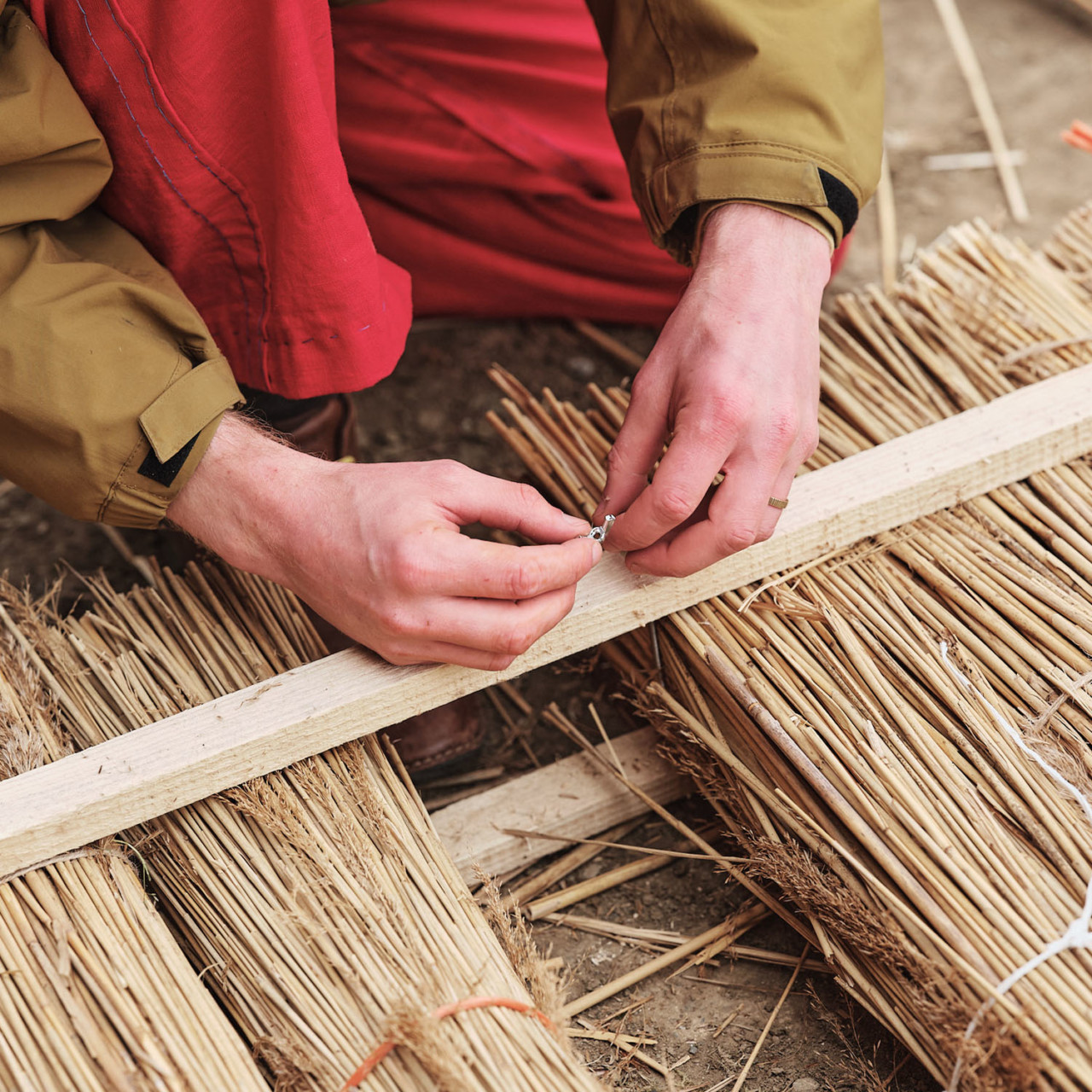 Material Cultures — Reed with Create London